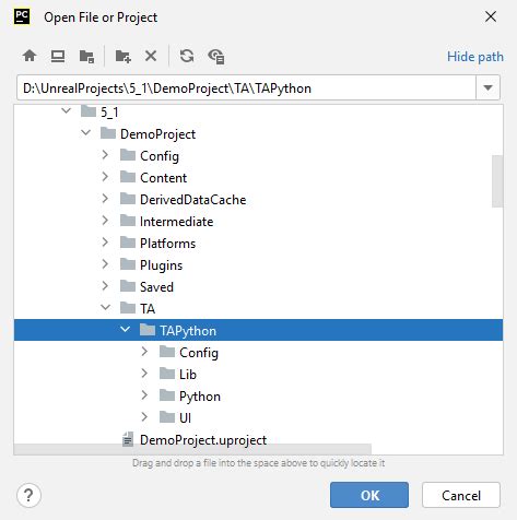 Open Unreal Python Project In IDE TAColor