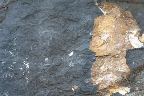 Limestone Background Images Free Photos Png Stickers Wallpapers