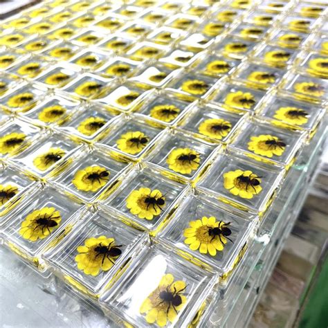 Honey Bee With Flower In Resin Apis Mellifera Ligustica Insects In Resin