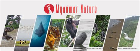 Myanmar Nature