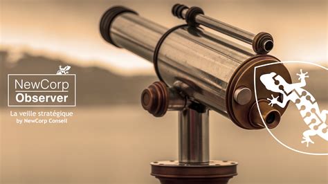 Nco By Ncc Longue Vue Gecko Biomimexpo