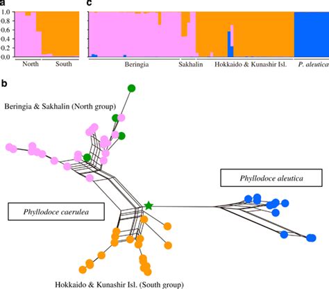 geographic patterns of genetic variation a the assignment