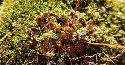 Dont Know What Im Doing Wrong Album On Imgur