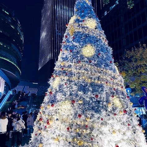 教育部：2024年中国高校数字化发展报告 应用 教学 转型