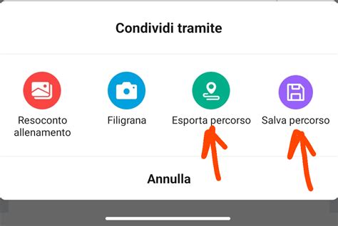 Zepp App What Is The Difference Between Export Route And Save Route