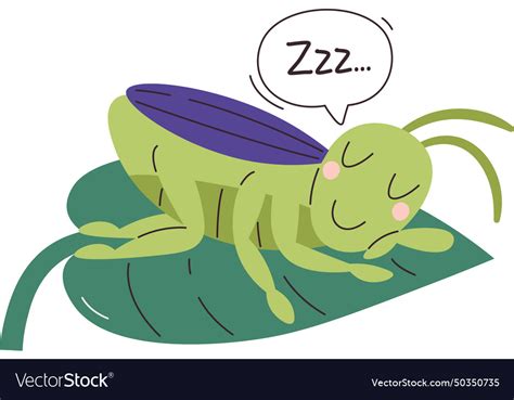 Sleeping Grasshopper Insect Royalty Free Vector Image