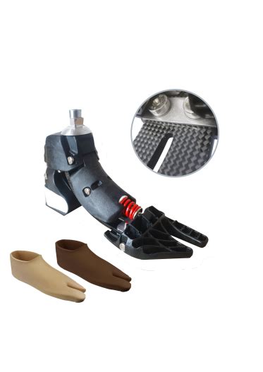 پروتز پا ترمیم عضو سریر