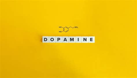 Does Sex Improve Memory In Older People Blog Male Excel