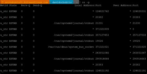 ¿cómo se usa el comando ss en linux ochobitshacenunbyte