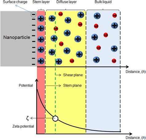 Electric Double Layer In A Polar Liquid Download Scientific Diagram