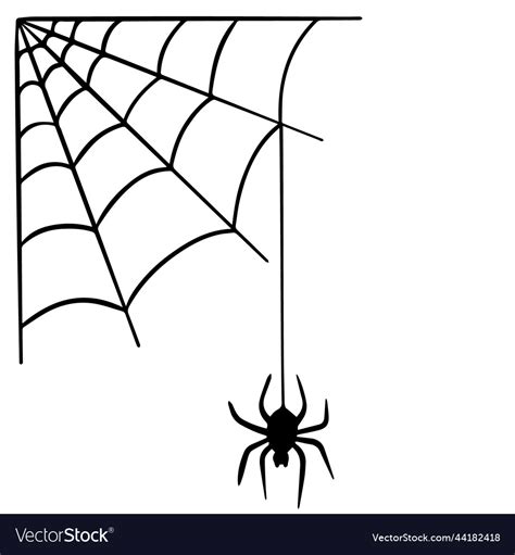 Spider Web And Hanging Royalty Free Vector Image