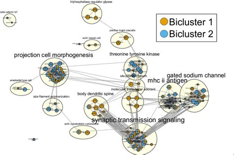 Network Plot Of Gene Sets Enriched Among Bicluster Genes Network