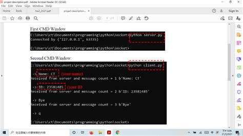 activate server py and client py in two different cmd