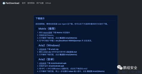 百度网盘链接在线解析 cn sec 中文网