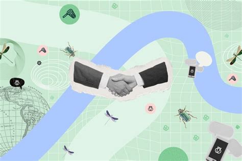 How Outsourcing Software Testing Can Boost Your Business Testlio