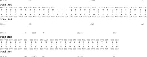 Alignment Of Tcr Cdr3 Regions Of Ctl Mpd And Ctl 296 Nucleotide And
