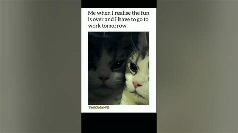 😁🤭programming Coding Webdevelopment Project C Javascript Funny