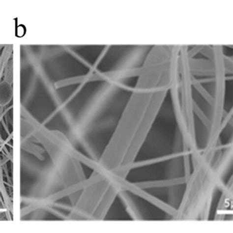 A The Microstructure Of Aerogels Fiber When Ph 3 B Morphology