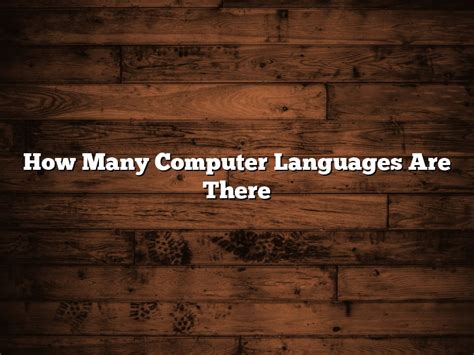 How Many Computer Languages Are There February 2025