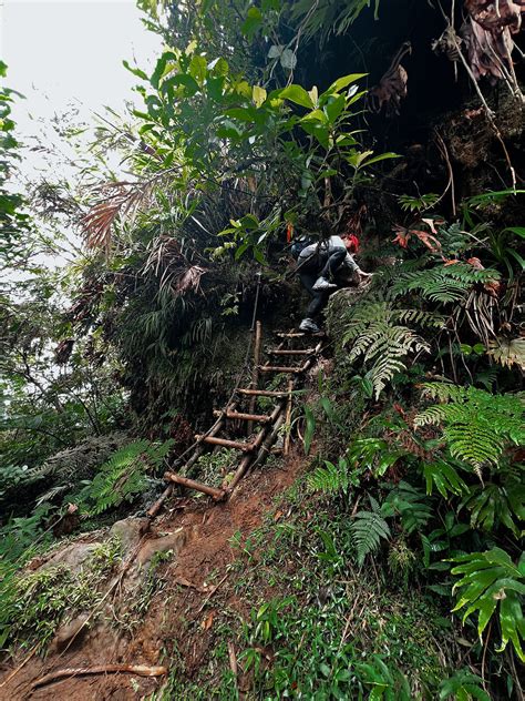Hiking Mt Makiling A Spectacular Adventure In The Philippines