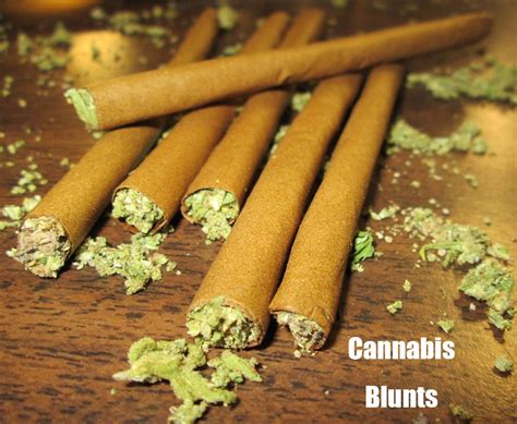 Can You Use A Cigar Case For Joints And Blunts