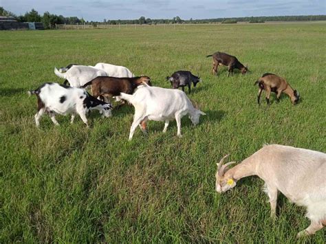 Бизнес Процессы как Система МОЙ ПЕРВЫЙ Hr Мой первый Hr книга о воронке найма второго «Я и