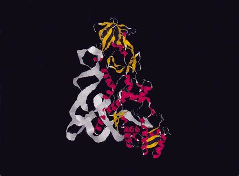Crystal Structure Of Trnagln And Glutaminyltrna Synthetase Arnez And Download Scientific