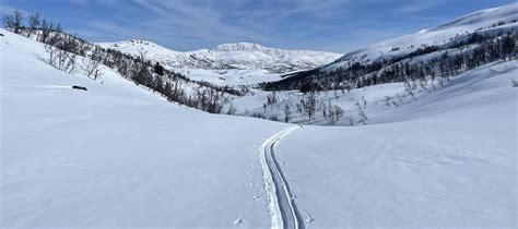 Cisco Catalyst Slow Scp Fix Network Automation Blog Cisco Catalyst Slow Scp Fix Network Automation Blog