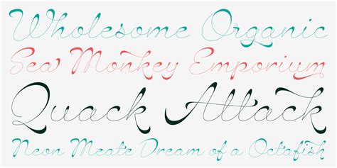 Hazel Script Fonts By Dave Rowland Type