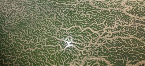 Flood Patterns The Betoota Advocate