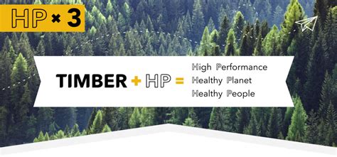 Golabs New Product—timberfill Is Here Sustainable Energy Outreach