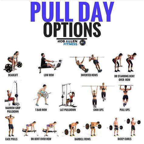 Pushpullleg Workout Routines An Ultimate Starter Guide Xhyy