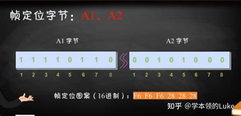 Sdh开销与指针 知乎 Sdh开销与指针 知乎