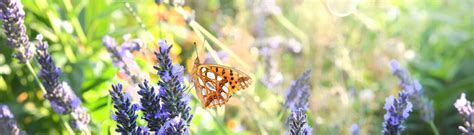 「736」の写真素材 145件の無料イラスト画像 Adobe Stock