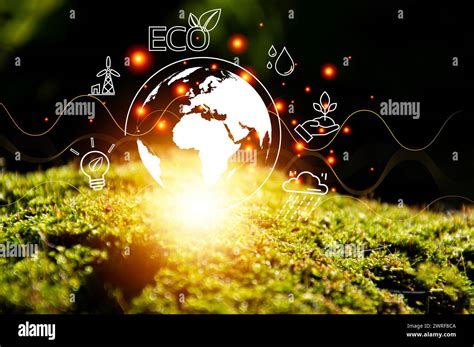 Sustainable Development And Business Operations Based On Renewable