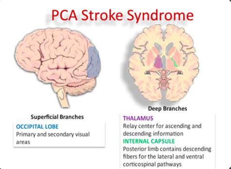 Patient Simulation Flashcards Quizlet