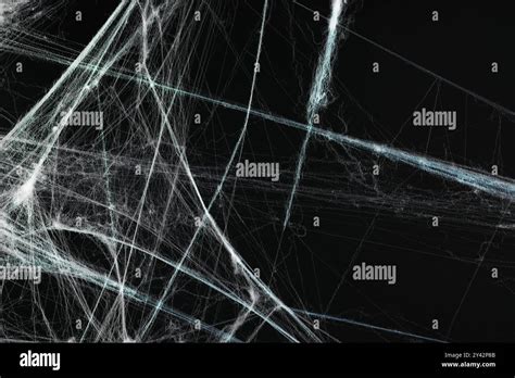 Cobweb Against Black Background Toned In Gradient Blue Color Stock