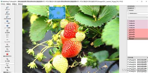 草莓成熟度度检测数据集vocyolo格式400张草莓数据集 Csdn博客