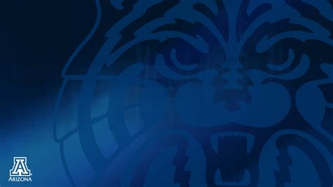 🔥 Free Download Arizona Wildcat Wallpaper By Mluna70 Wallpapersafari