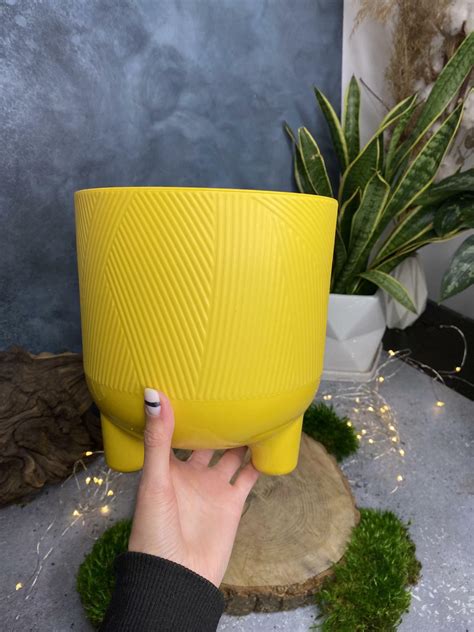 Кашпо для суккулентов купить в Москве