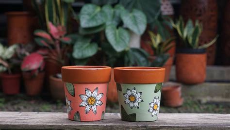 Genius Hacks For Keeping Soil Moist Without Constant Watering