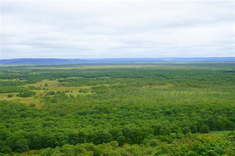 夏の釧路湿原よこさんさん αcafe αの写真投稿サイト ｜ ソニー