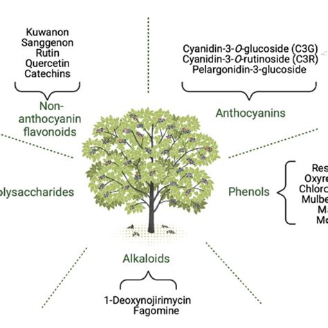 Silk Fibroin Based Biomaterials Created With Accessed Download Scientific