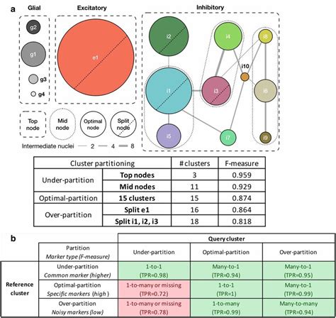 Design Of The Under Optimally And Over Partitioned Cluster