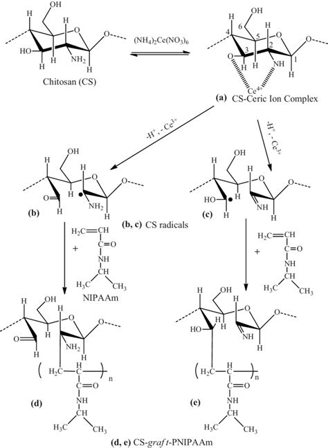ceric ion initiation of graft copolymer synthesis of nipaam monomer