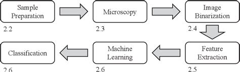 Figure 1 From Classification Of Microstructures Of Alsi Casting Alloy In Different Cooling