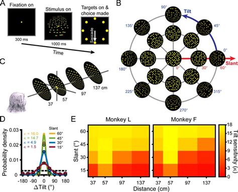 Figures And Data In Functional Links Between Sensory Representations Choice Activity And