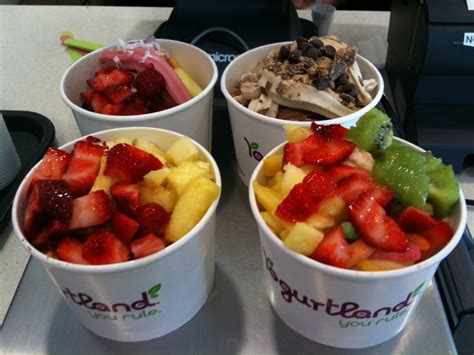 Yogurtland Discover The Perfect Frozen Yogurt Experience