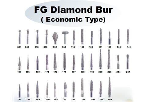 Types Of Dental Burs And Their Uses At Paul Tucker Blog
