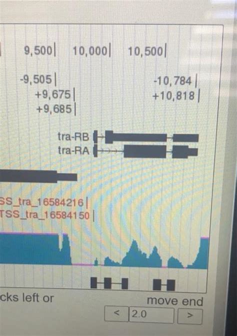 solved 1 where do you see regions in the rna seq coverage